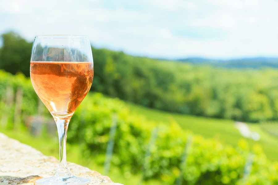 Provence Rosé Wine: The Ultimate French Riviera Day Trip - Fabric Magazine